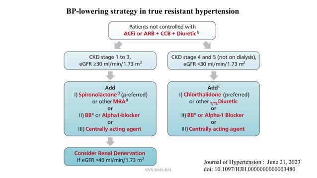 Updated Hypertension Management – ESH 2023.pdf | Heart and ...
