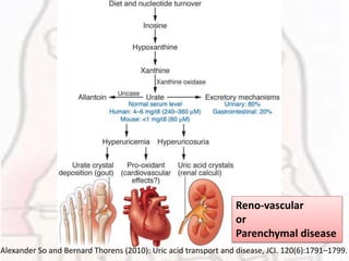 Updated hyperuricemia | PPTX
