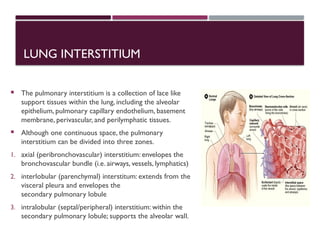 Nutrition in Interstitial Lung Disease – Supporting Breath Through ...