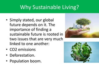 Why Is Green Living So Important? – QIZR
