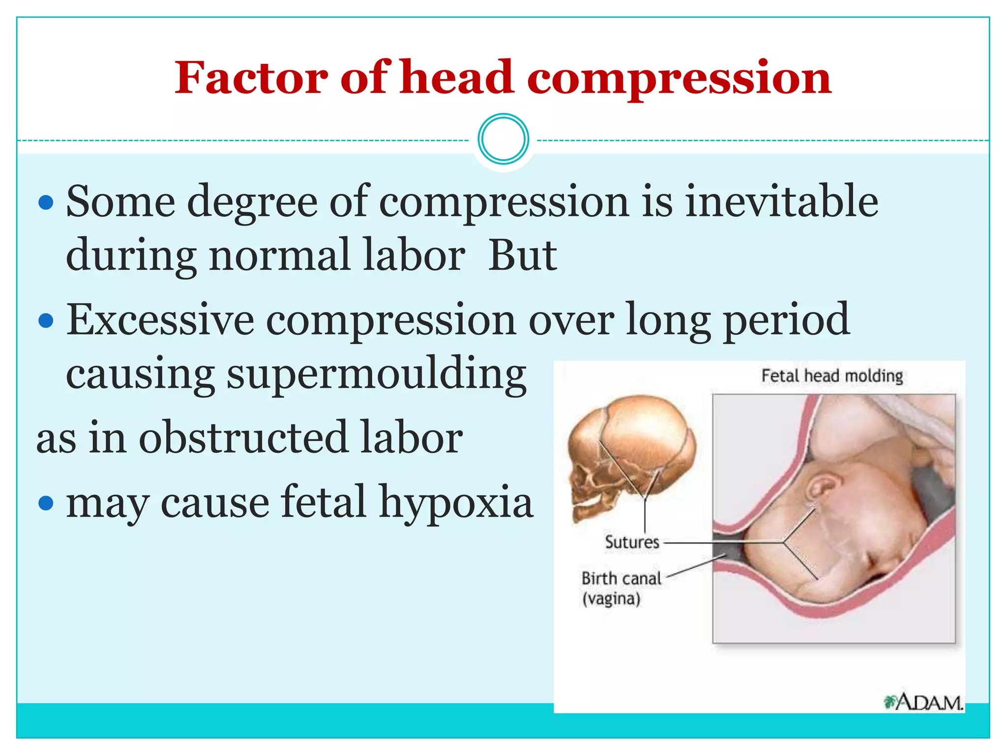 intrapartum fetal monitoring for undergraduate | PPTX