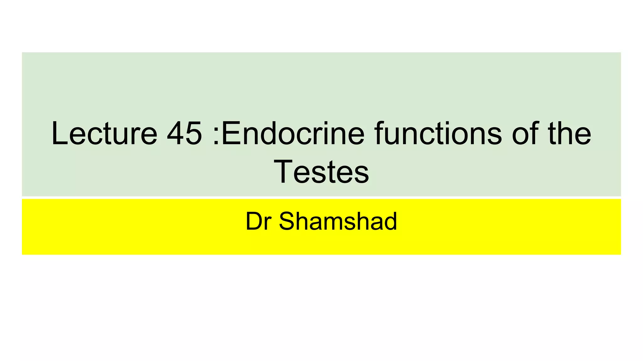 Endocrine functions of the testes | PPTX