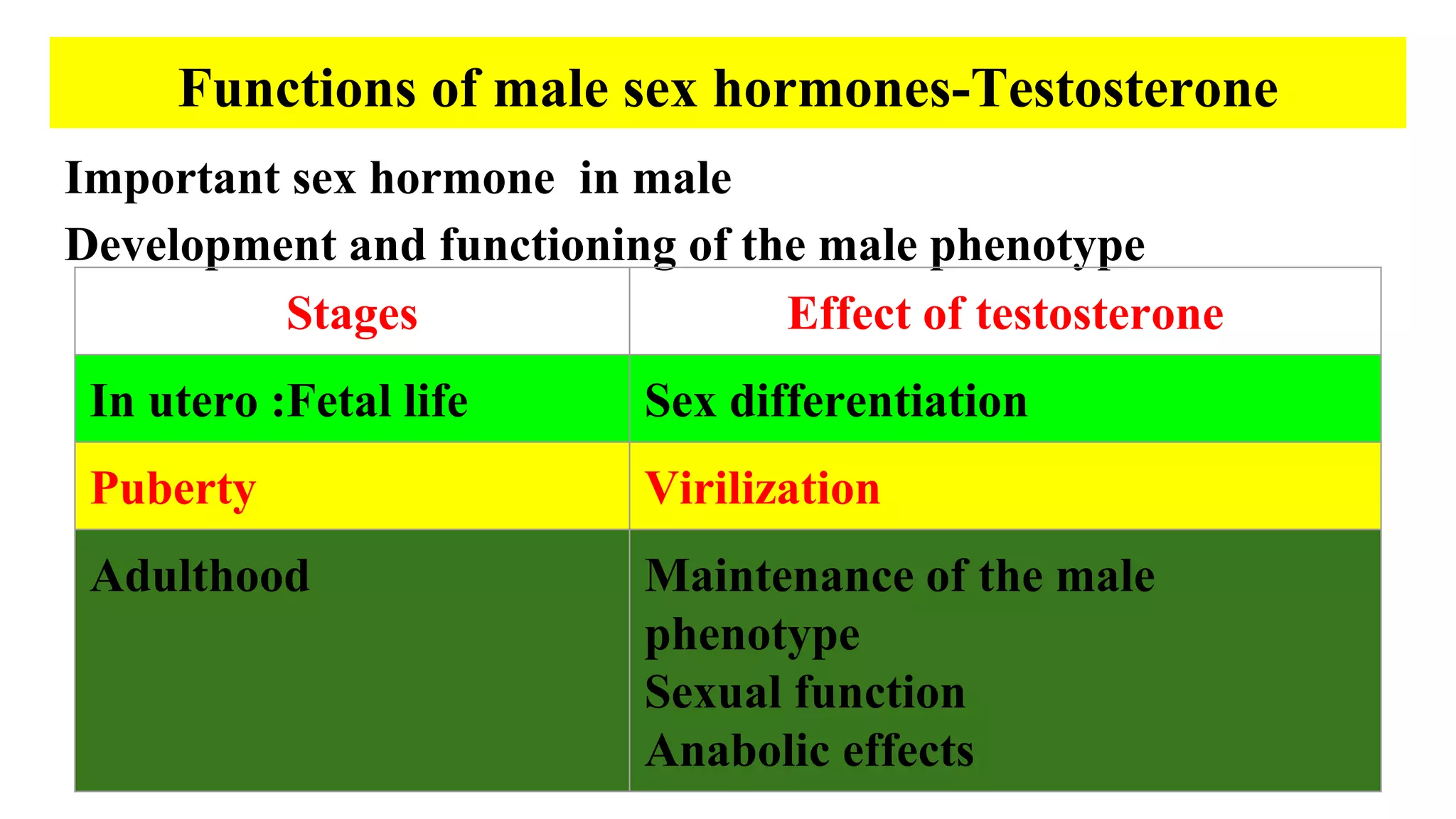Endocrine functions of the testes | PPTX