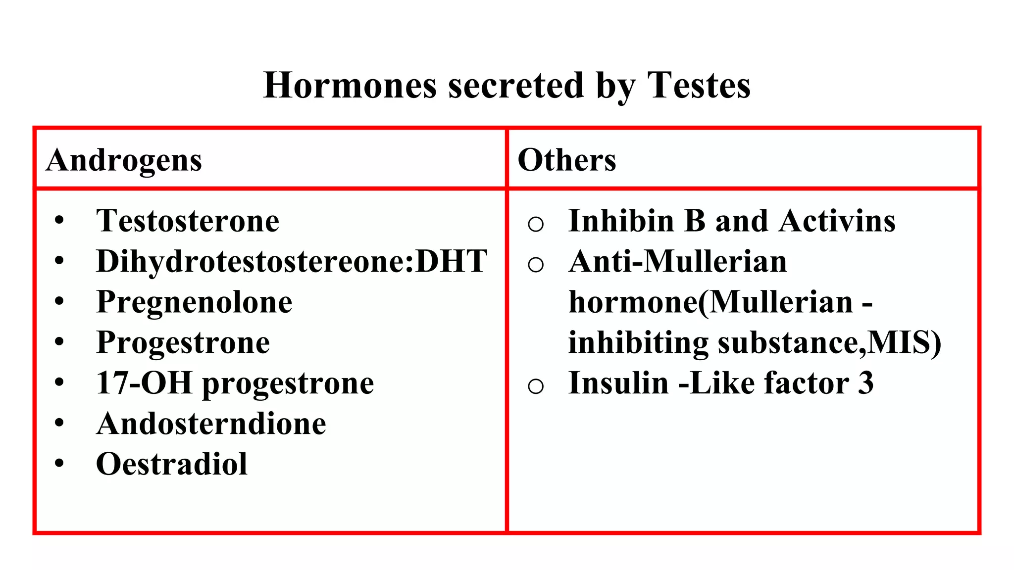 Endocrine functions of the testes | PPTX