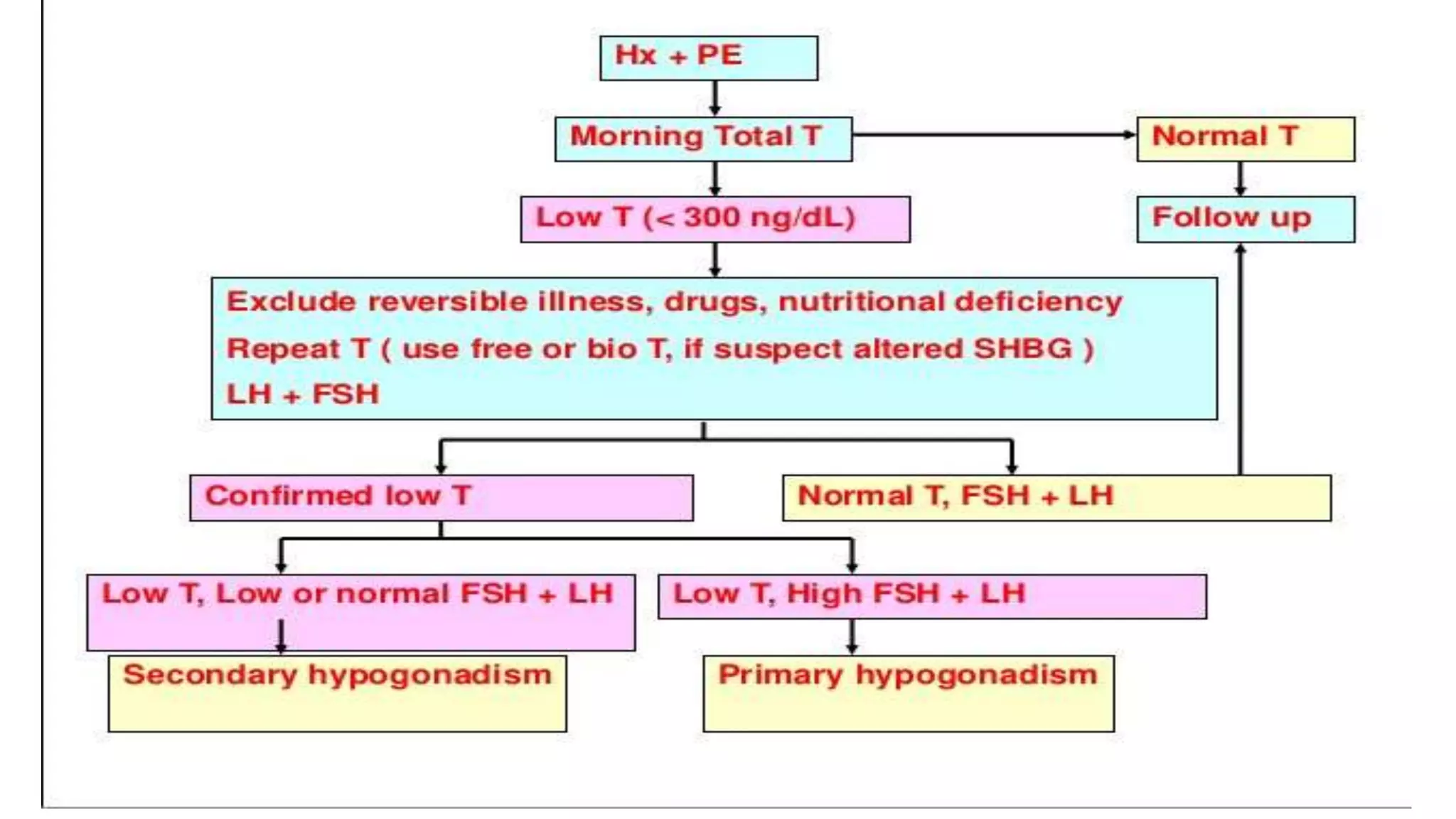 Endocrine functions of the testes | PPTX | Hormonal Disorders ...