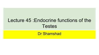Endocrine functions of the testes | PPTX