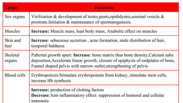 Endocrine functions of the testes | PPTX | Hormonal Disorders ...