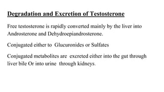 Endocrine functions of the testes | PPTX