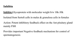 Endocrine functions of the testes | PPTX