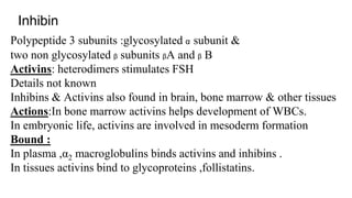 Endocrine functions of the testes | PPTX