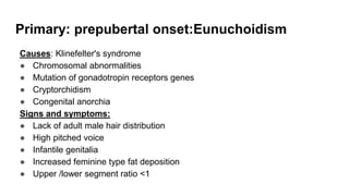 Endocrine functions of the testes | PPTX