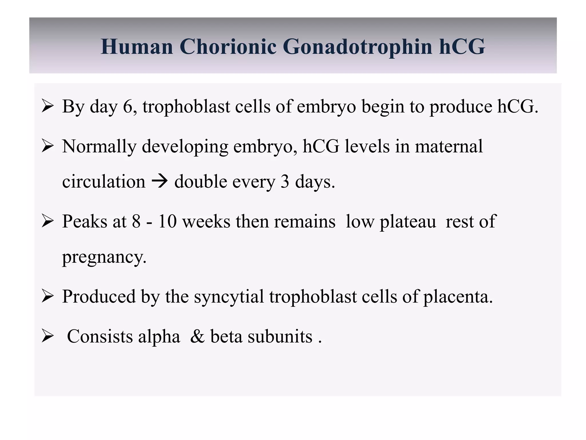 Updated lecture 58 | PPTX