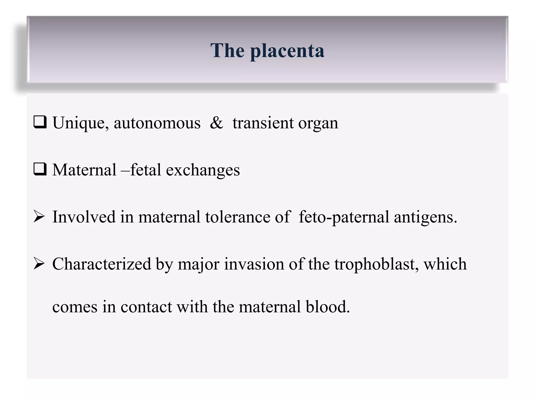 Updated lecture 58 | PPTX