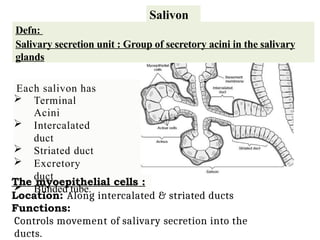 lecture :Physiology of salivary gland secretion | PPSX