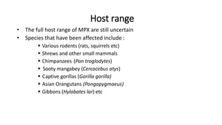 MPX presentation 2.pptx