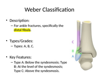 Updated_Orthopedic_Trauma_Classifications.pptx