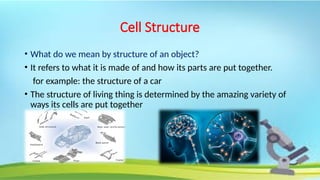 cell structurecell structurecell structure.pptx