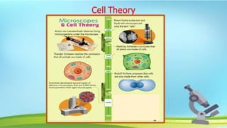 cell structurecell structurecell structure.pptx