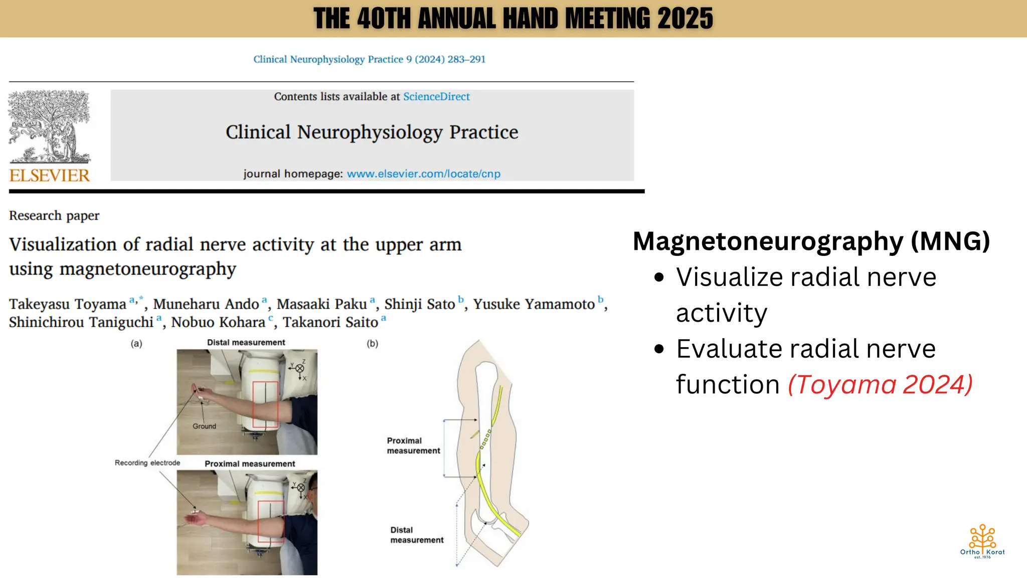 Updated in Protocol: Radial Nerve Problems in Humeral Fracture | PDF