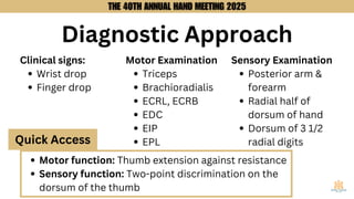 Updated in Protocol: Radial Nerve Problems in Humeral Fracture | PDF