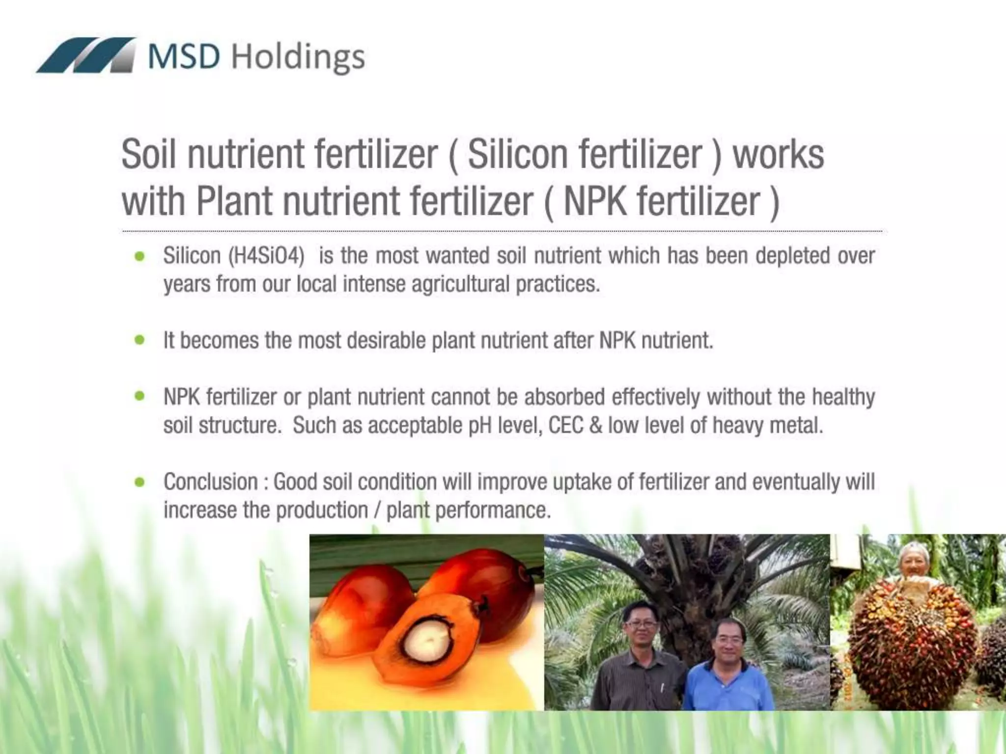 Updated silicon super fertilizer 20 | PPTX