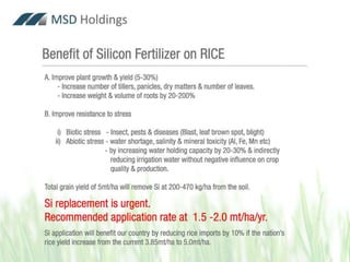 Updated silicon super fertilizer 20 | PPT