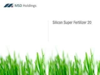 Updated silicon super fertilizer 20 | PPT