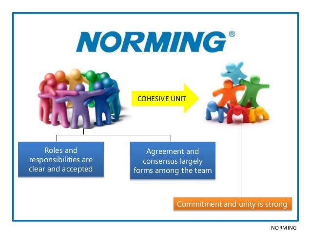 Stages of Team Development