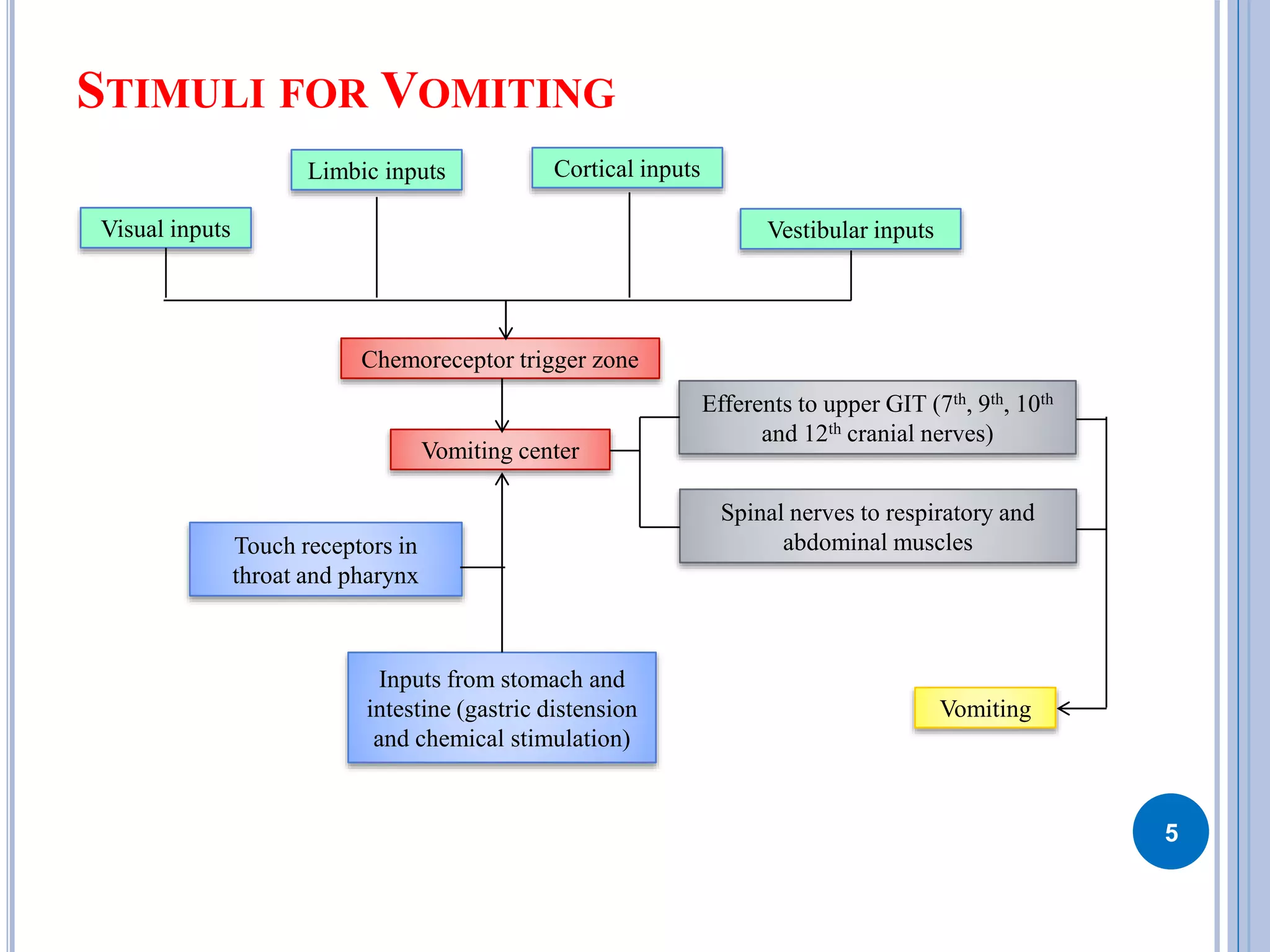UPDATED VOMITING REFLEX PEDAGOGY.pptx