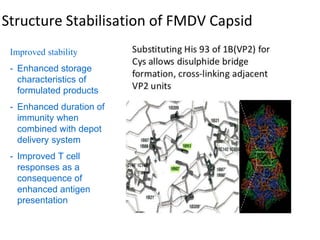 Update on foot and-mouth disease | PPT