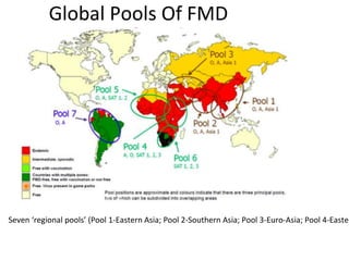 Update on foot and-mouth disease | PPTX