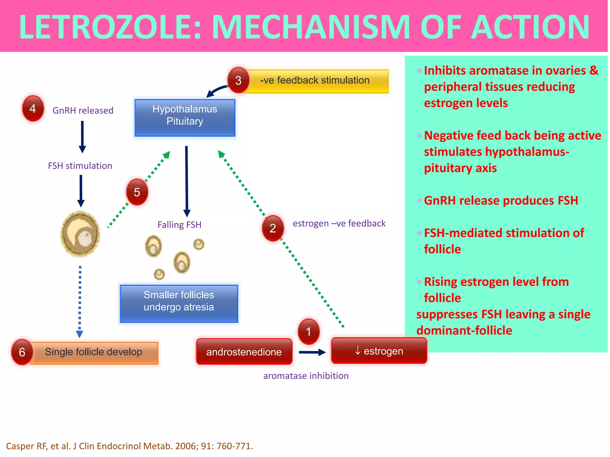 Update On Letrozole Current Guidelines For Ovulation Induction Dr