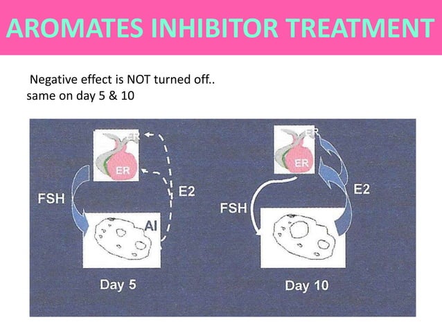 Update On Letrozole Current Guidelines For Ovulation Induction Dr