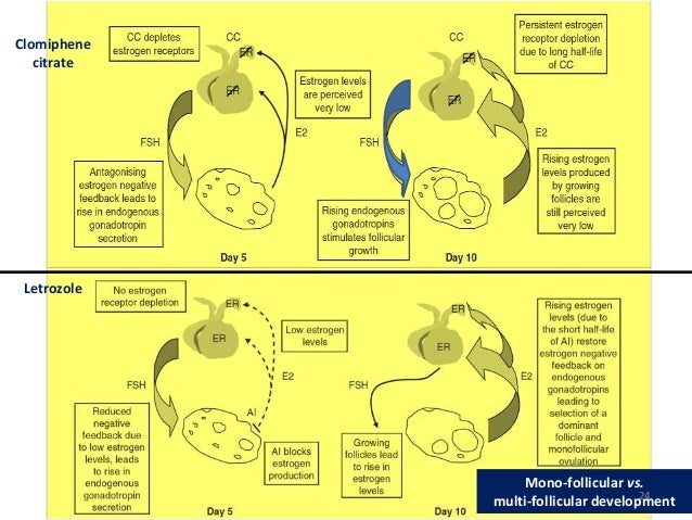 Update On Letrozole Current Guidelines For Ovulation Induction Dr Sh