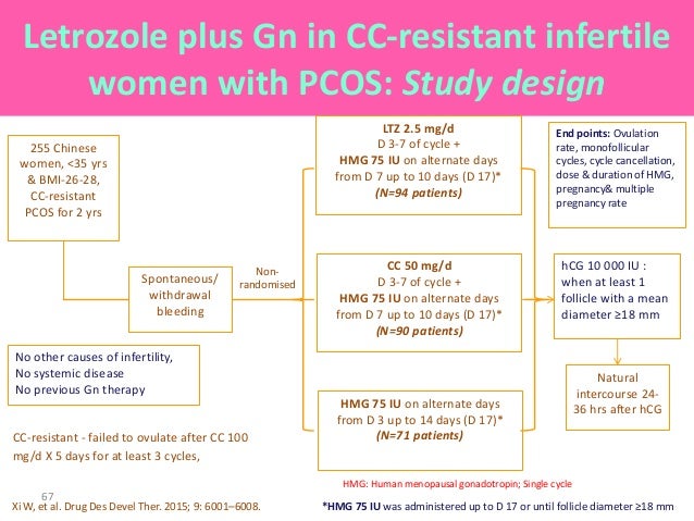 Update On Letrozole Current Guidelines For Ovulation Induction Dr Sh
