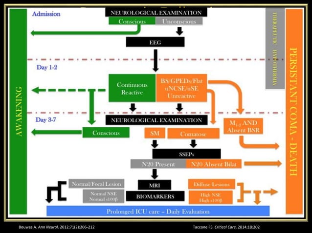 Update on Targeted Temperature Management | PPT