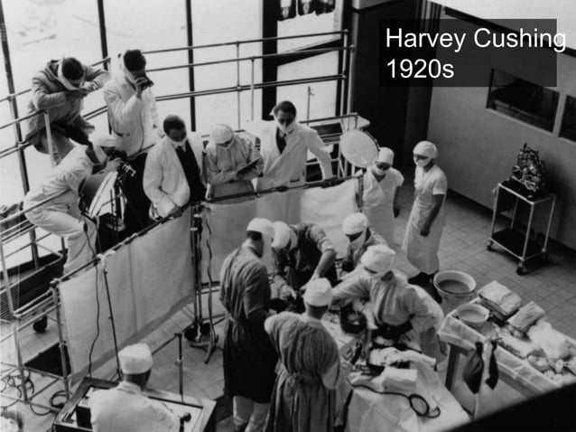 Update on Targeted Temperature Management | PPT