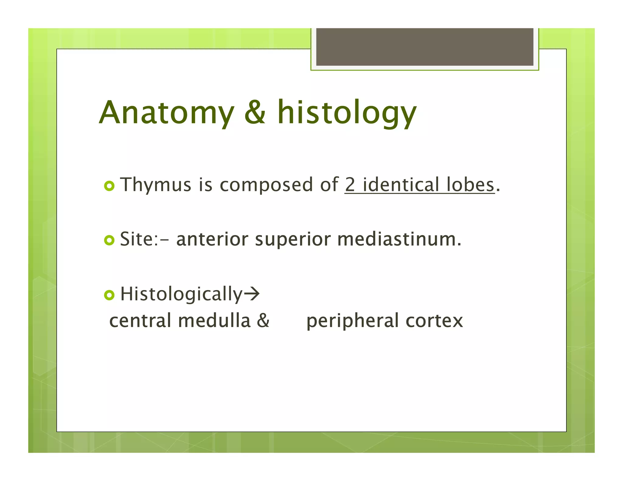 Update on thymomas | PDF