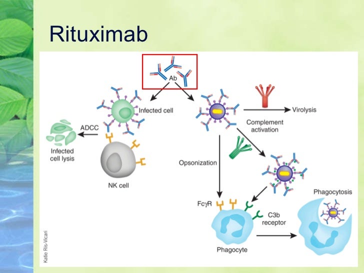 Update on treatment for lymphoma, Lymphoma Support Ireland meeting