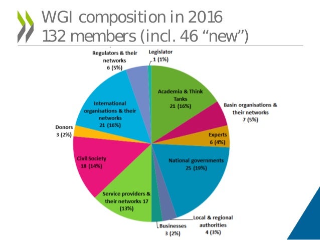 2016-2018 WGI Strategy and Activities