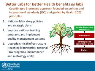 Update on who laboratory strengthening initiative | PDF