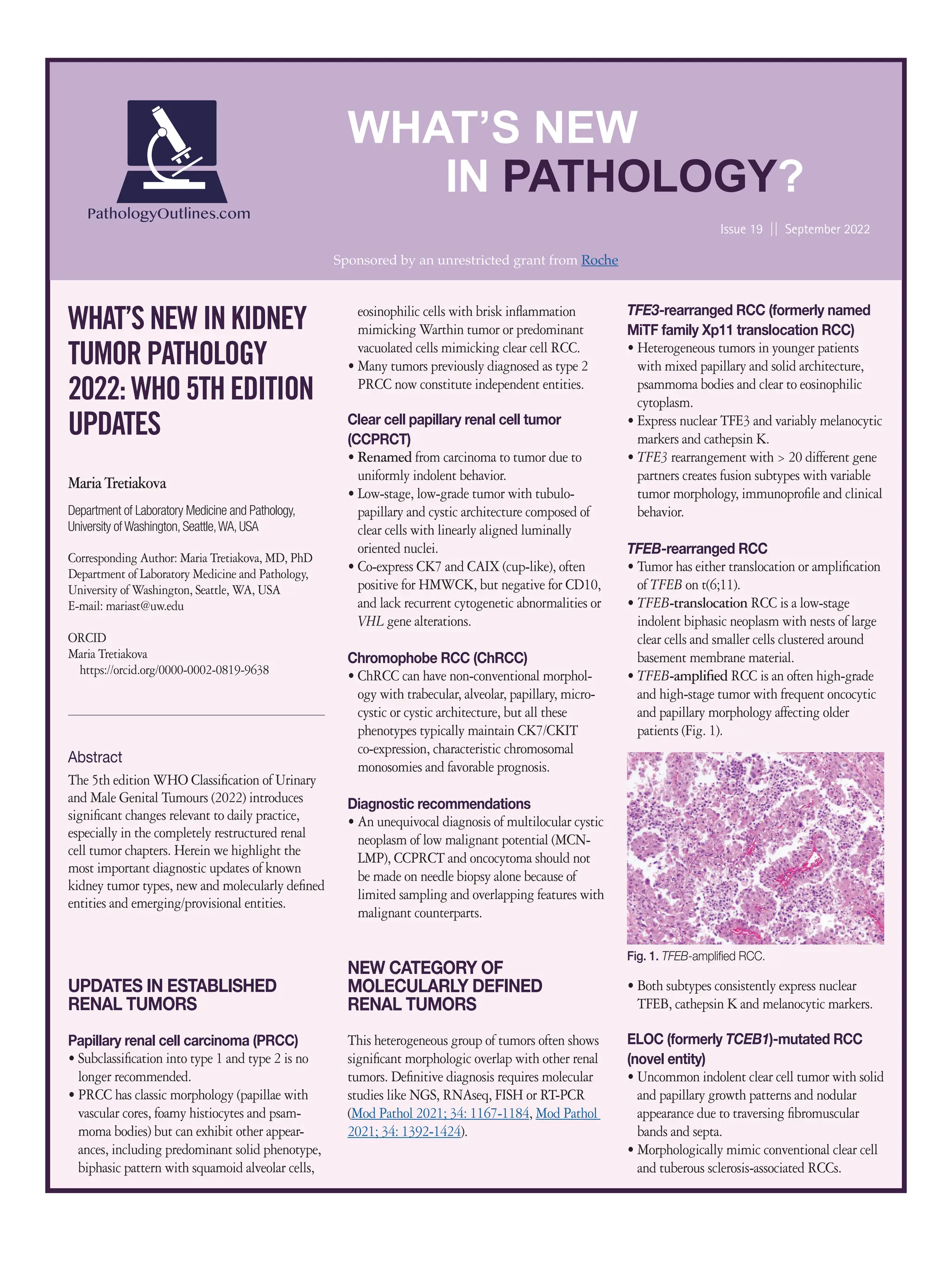Updates-Kidney Pathology WHO tumor updates | PDF