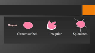 Updates and revision to the MRI BI-RADS Lexicon | PPTX