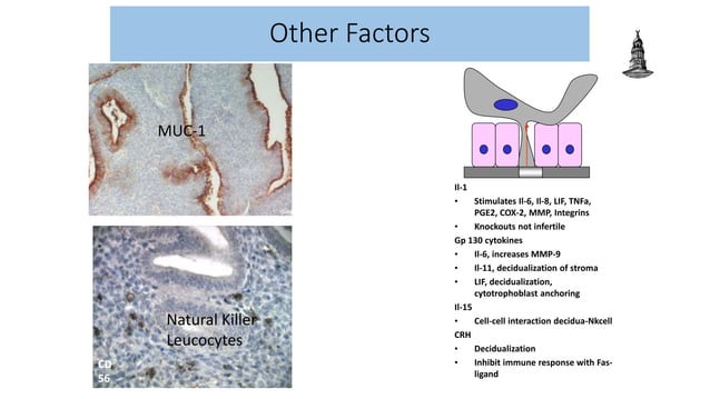 Updates in endometrial receptivity | PPT | Free Download