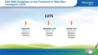 Updates in Prostatic enlargement Management by Dr.Wadah Ceifo | PPTX