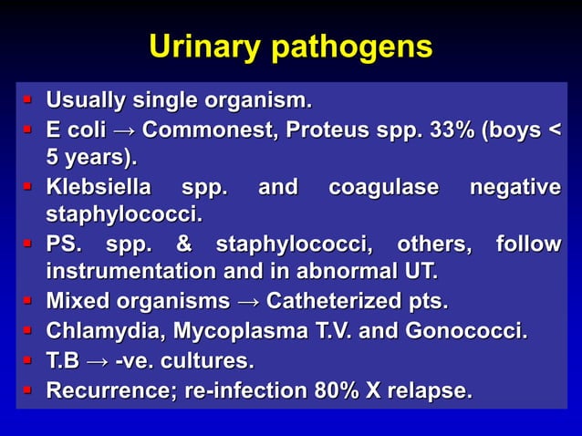 Updates of Urinary Tract Infection In Diabetic Females | PPTX ...