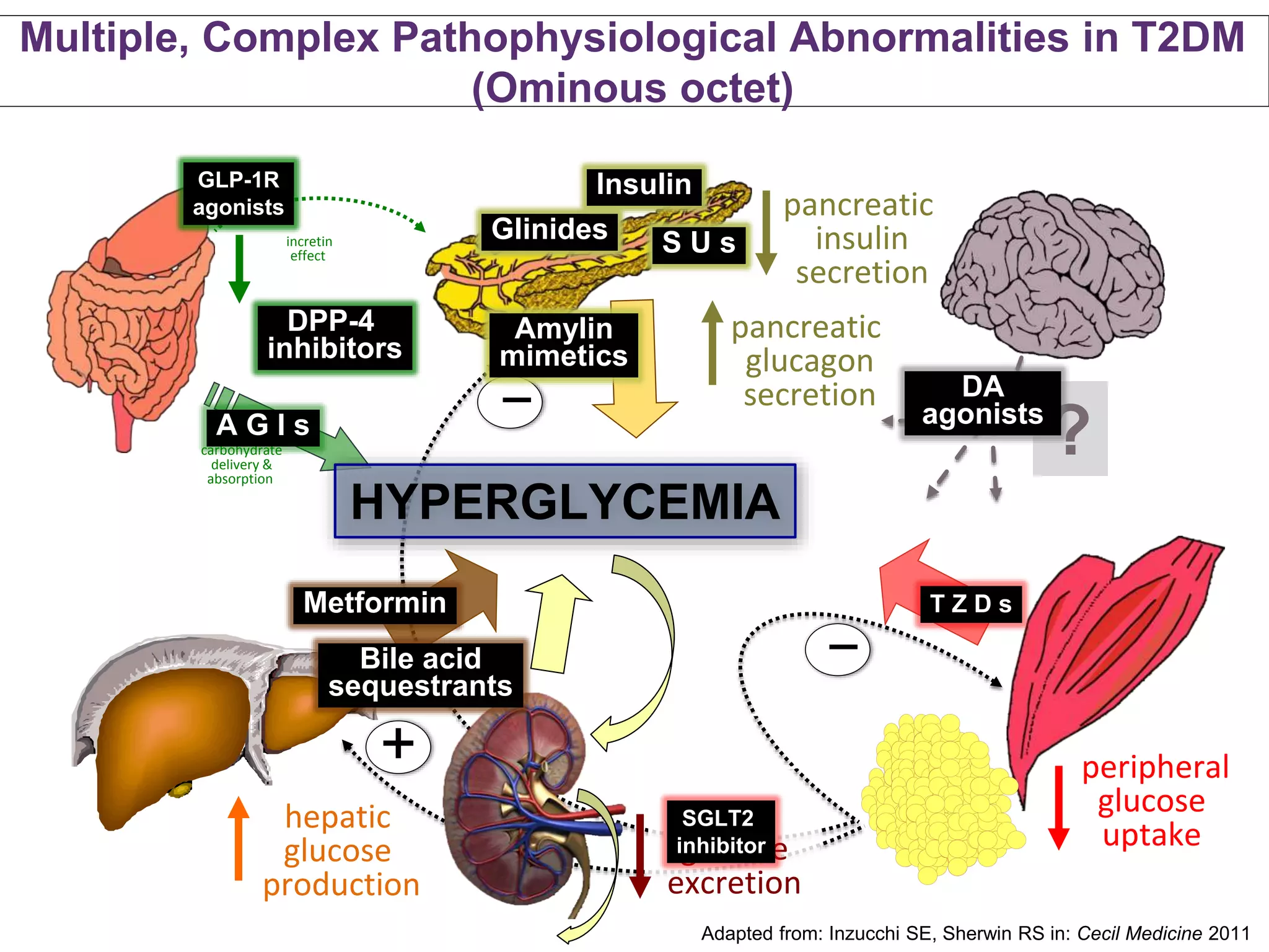Updates of Diabetes Management 2020- Dr Shahjada Selim | PPTX