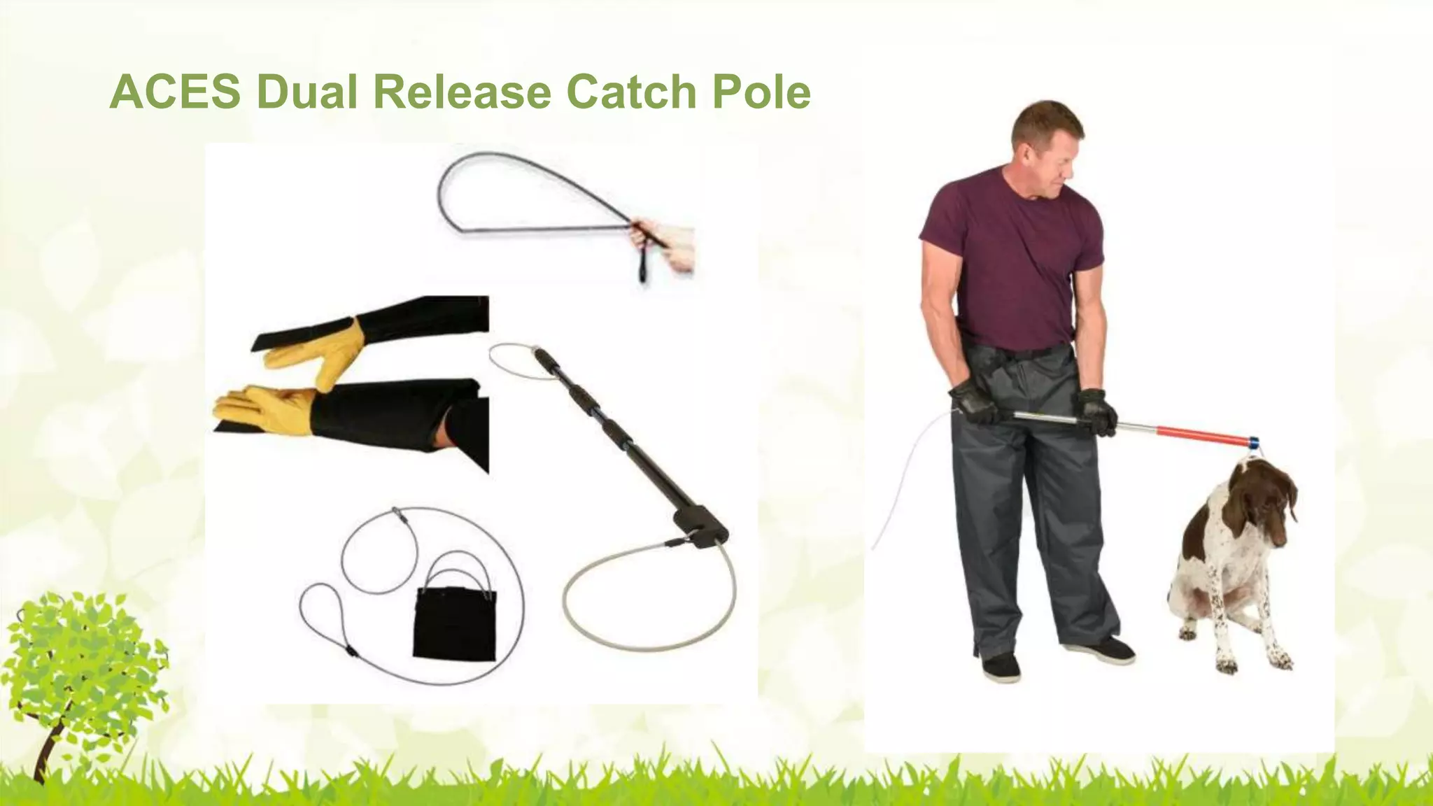 Updates on darting of wild animal Dr Faslu | PPTX