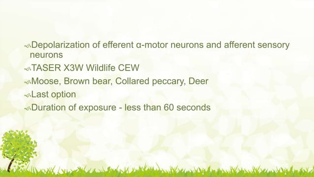 Updates on darting of wild animal Dr Faslu | PPTX