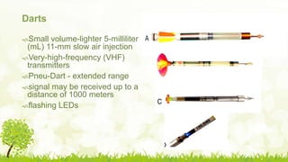 Updates on darting of wild animal Dr Faslu | PPTX